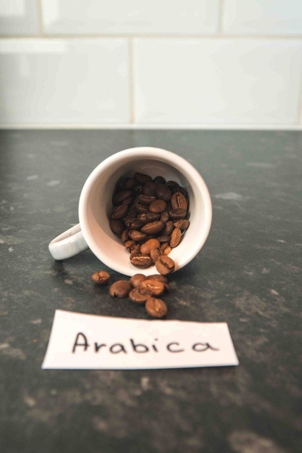 Arabica vs. Robusta: What’s the Difference?
